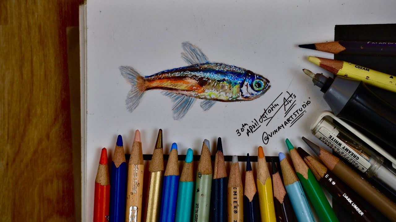 Drawing realistic fish with color pencils Timelapse - YouTube