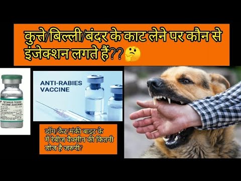 डॉग बाइट/कैट बाइट/मंकी बाइट इंजेक्शन//Anti rabies vaccine/ARV & TT ...