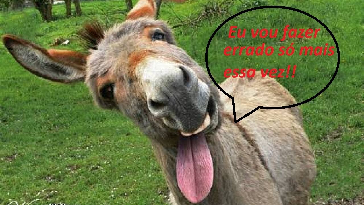 Se você continuar com essa burrice nunca vai sair com lucro em opções ...