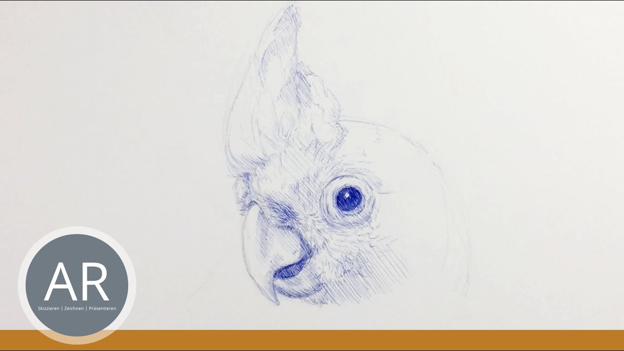 Tier-Illustrationen, Tierskizzen, Tier-Zeichnungen – Tiere einfach ...