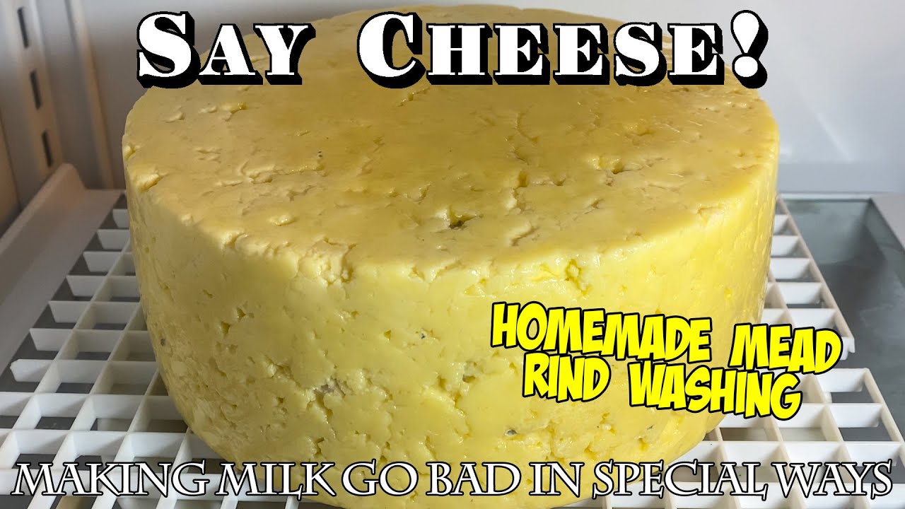 Mead Washed Rind - CDN Caerphilly Cheese Make - YouTube