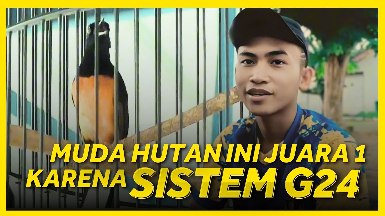 MUDA HUTAN LAGI ‼️ DAPET DARI SURABAYA ‼️ di SKM to DRT - YouTube