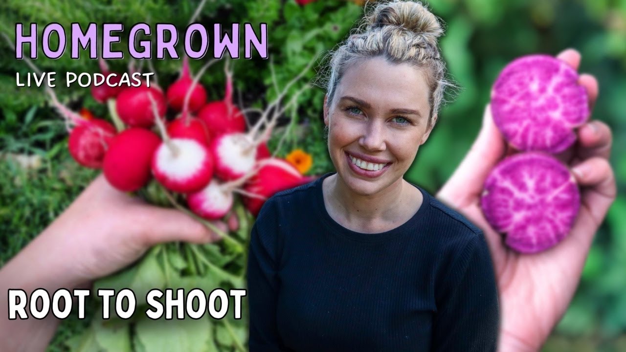 The Secret to Growing - Root Vegetables 🥕 - YouTube