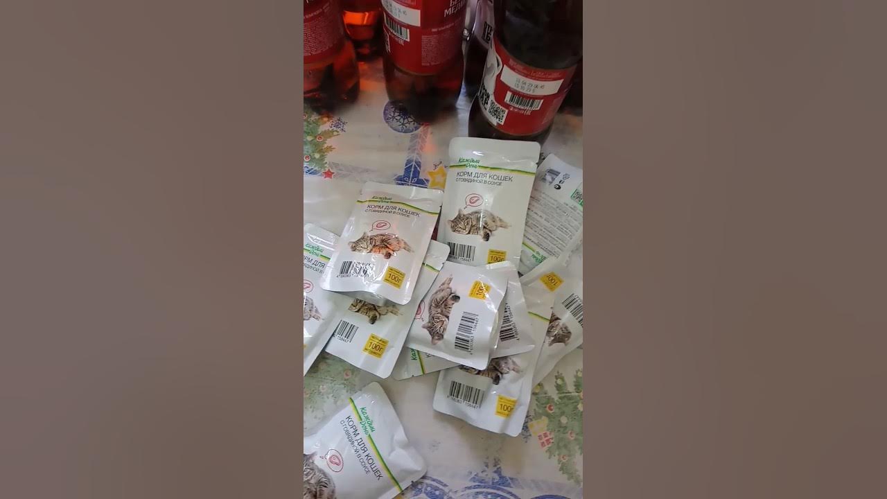 КУПИЛ КОШКЕ МЯСНОЙ КОРМ В АШАНЕ - YouTube