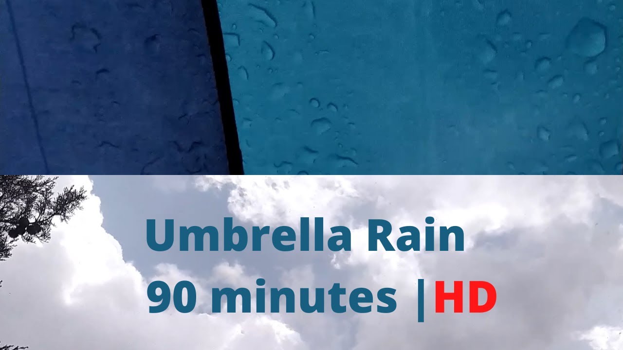 Rain on umbrella | Rain Sound Under Umbrella and Cloud whitest view ...