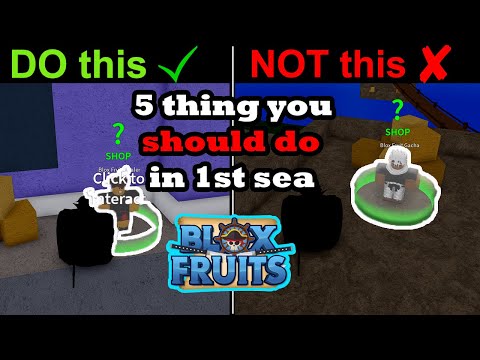 What you should do in 1st sea (Blox fruit) - YouTube