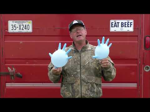 How To Relieve Bloating In A Cow