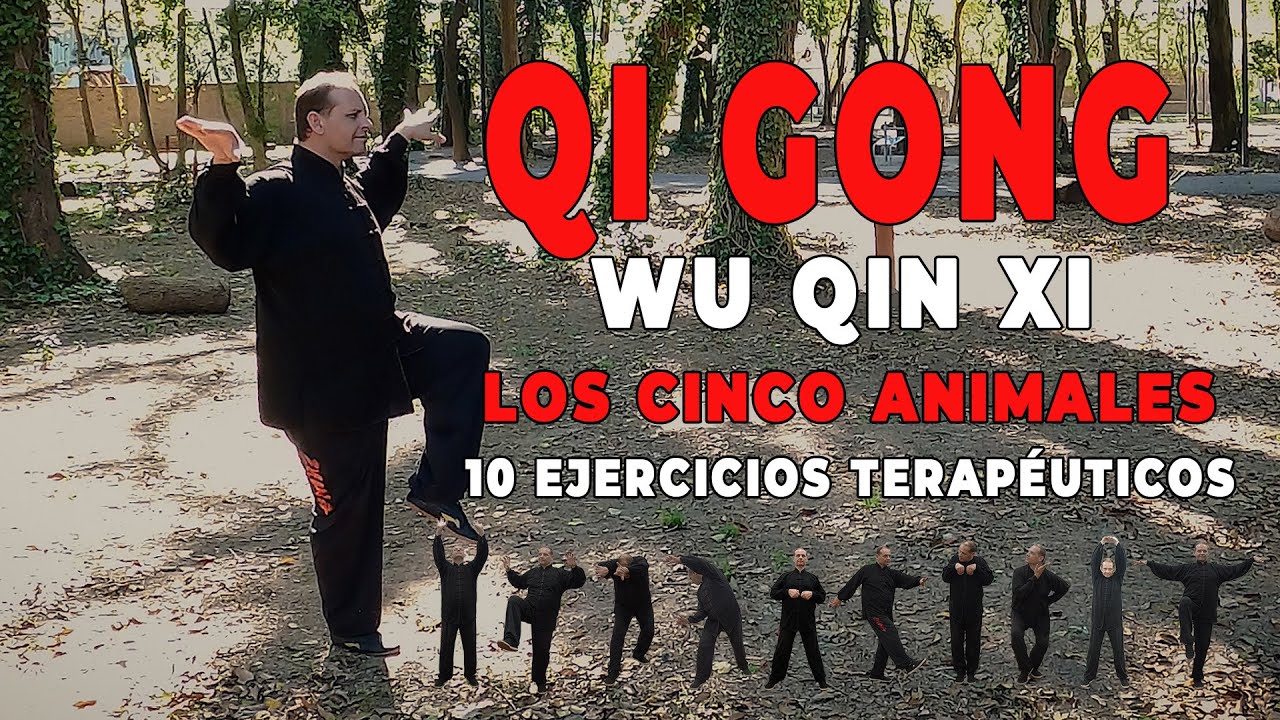 QIGONG - Los Cinco Animales - Wu Qin Xi - - YouTube