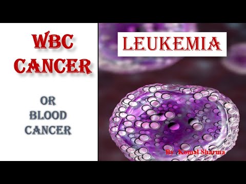 Leukemia| WBC cancer| Types of Leukemia - YouTube