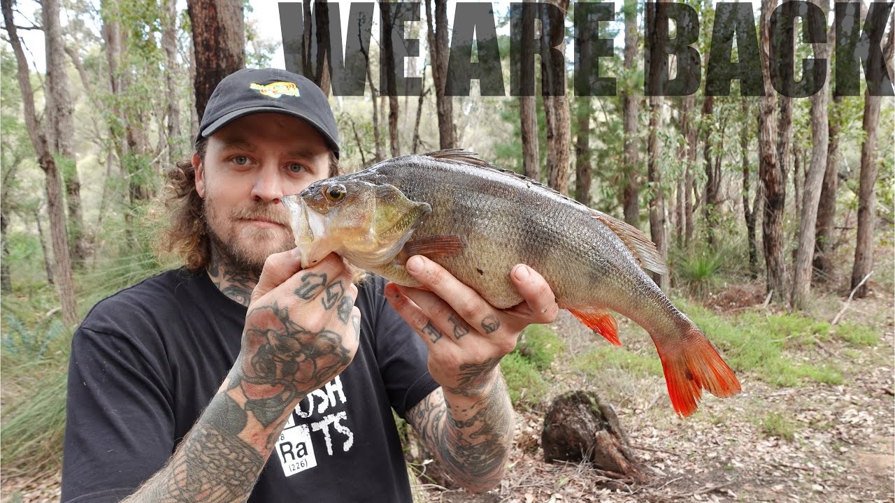 We Are Back! | BIG Redfin Perch - YouTube