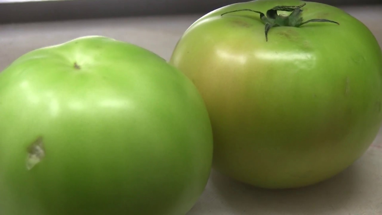 Easy Fried Green Tomatoes - YouTube