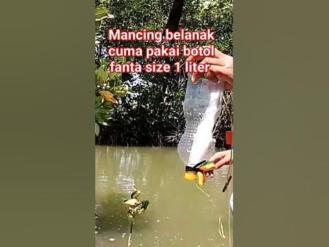 mancing belanak pakai botol fanta size 1 liter.umpan terigu - YouTube
