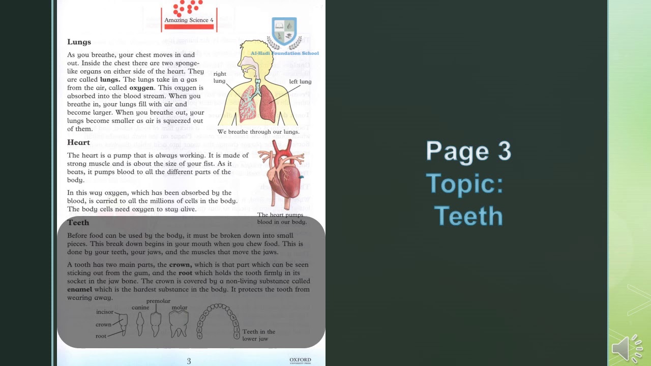 Class 4 - Amazing Science - Understanding our bodies - YouTube