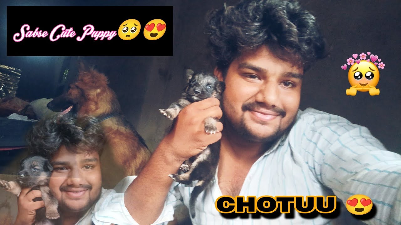 AAJ HUM DIKHATE HAI APNE SABSE CUTE PUPPY KO😍| APNA CHOTU😍#trending #doglover - YouTube