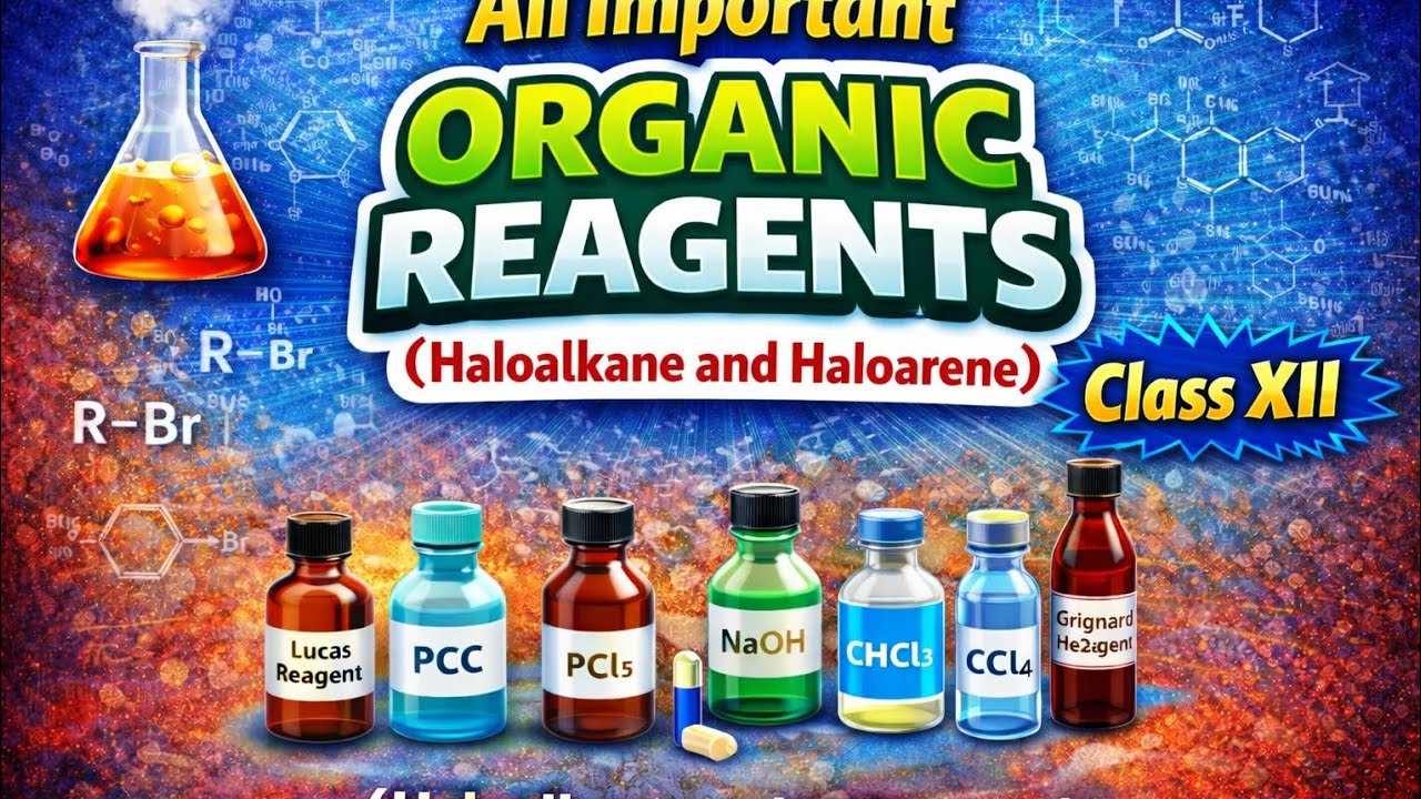 All Organic Reagents|Haloalkane and Haloarene|Organic chemistry|Class ...