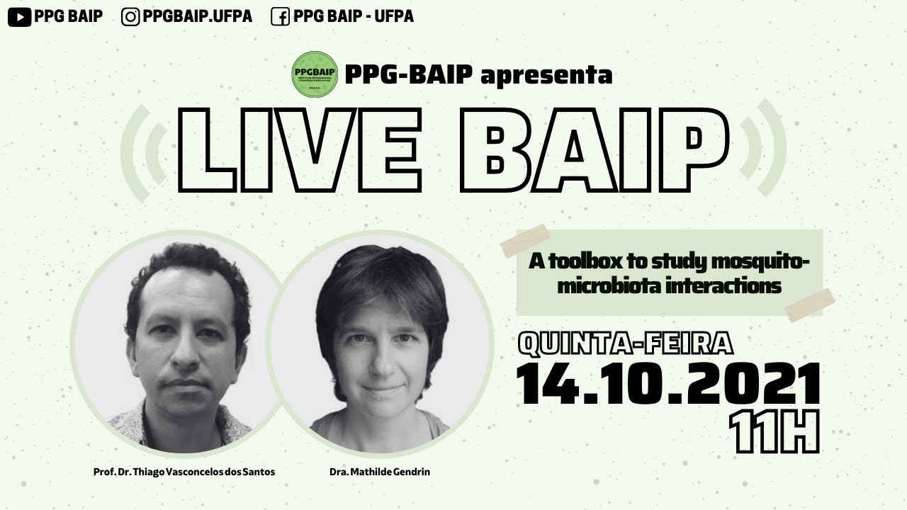 LIVE BAIP | A toolbox to study mosquito-microbiota interactions - YouTube