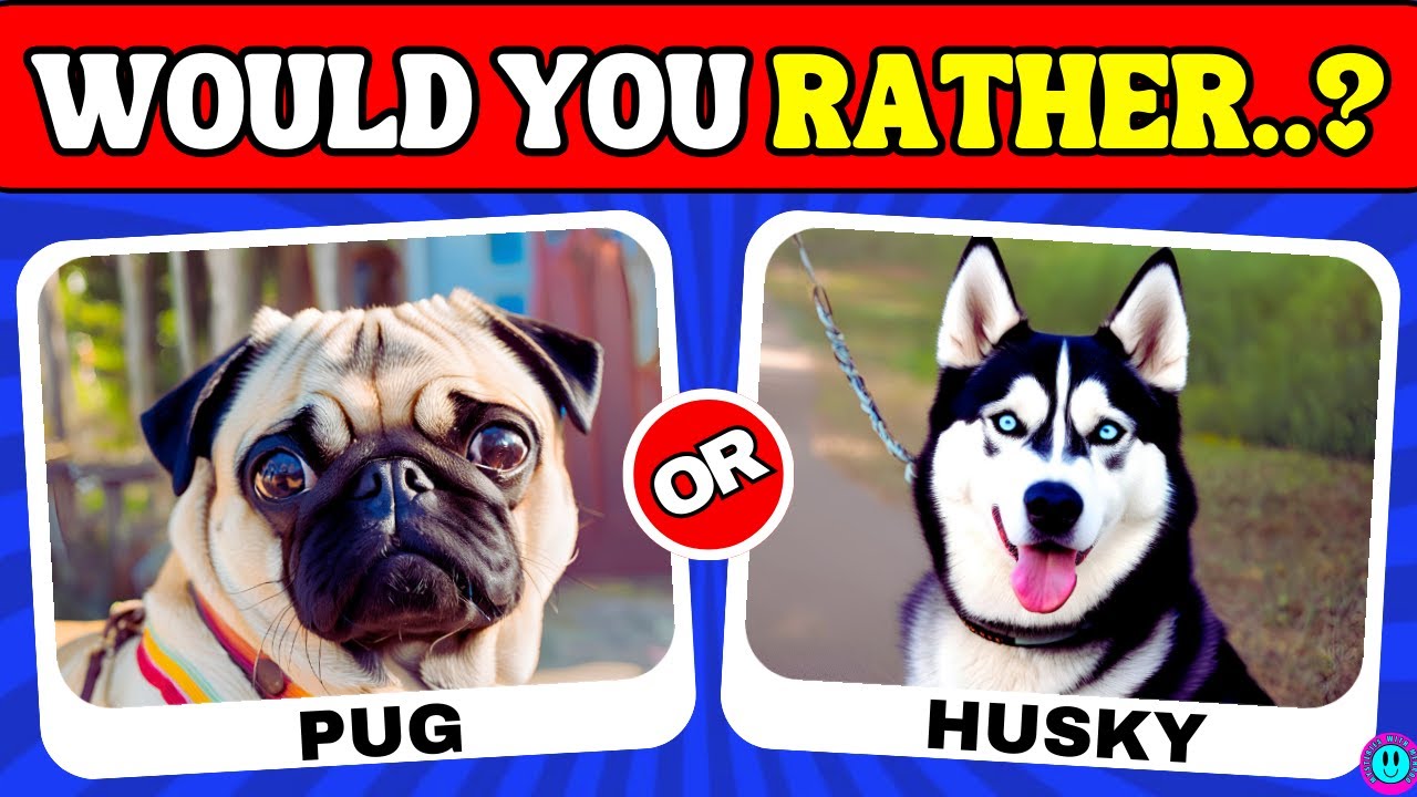Would You Rather...? DOGS Edition 🐶 | Dog Quiz Challenge - YouTube