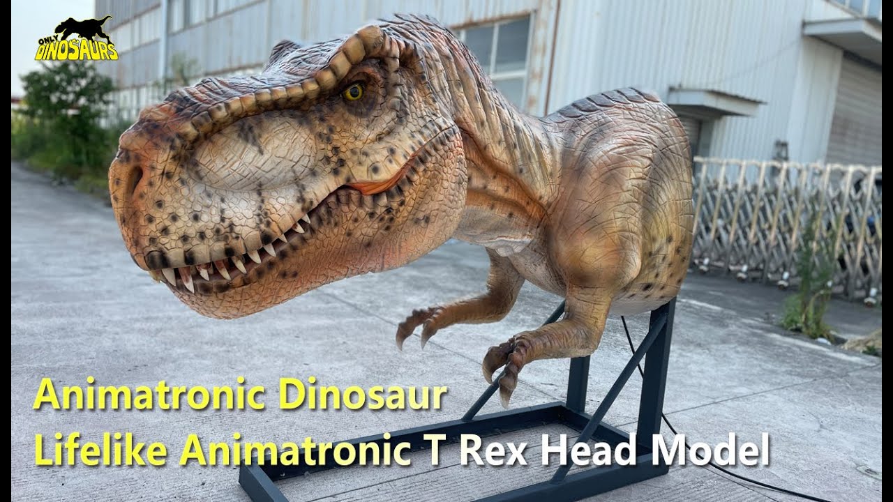 Lifelike Animatronic T Rex Head Model | Animatronic Dinosaur - YouTube