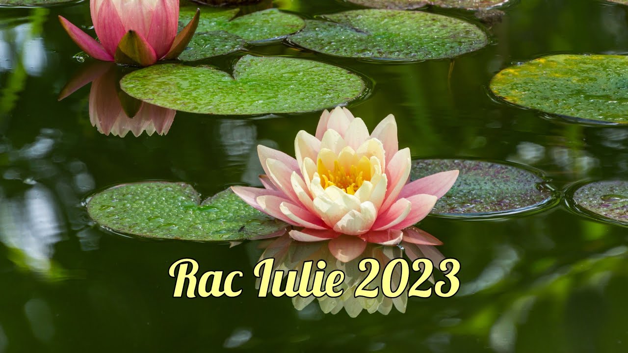 RAC | Lecții de viață în ce privește încrederea în tine și în alții ...