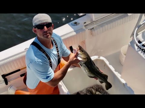 Block Island Cod Fishing 9-4-21 4K - YouTube