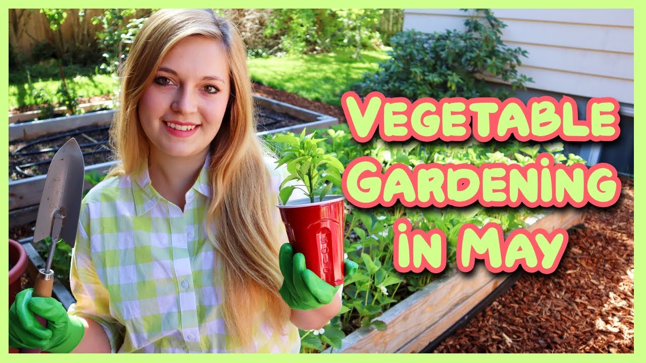 VEGETABLE GARDENING IN MAY | Garden With Me | Spring 2021 - YouTube