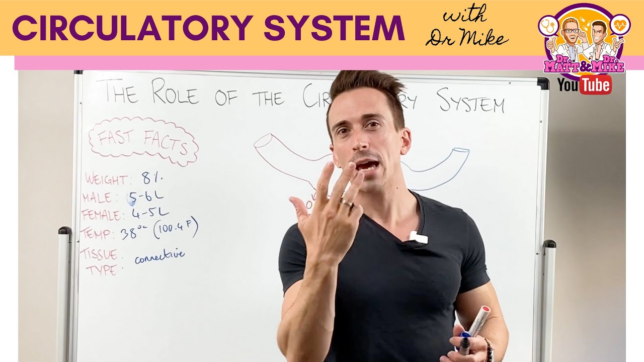 Circulatory System | Overview - YouTube