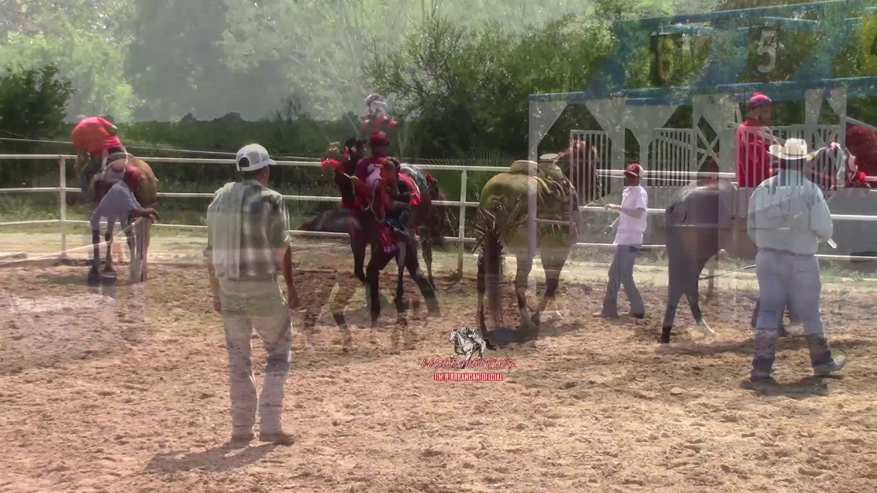 CUADRA STA ROSA VS CUADRA RODEO 250 YDS - YouTube