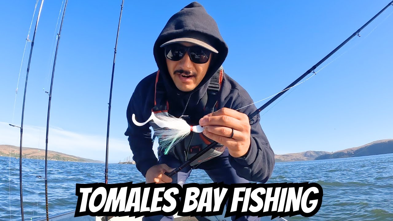 Fishing for Halibut Tomales Bay - YouTube