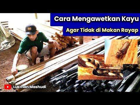 CARA MENGAWETKAN KAYU anti RAYAP 🐜 Obat Kayu Anti Rayap dan Bubuk 🐜 ...