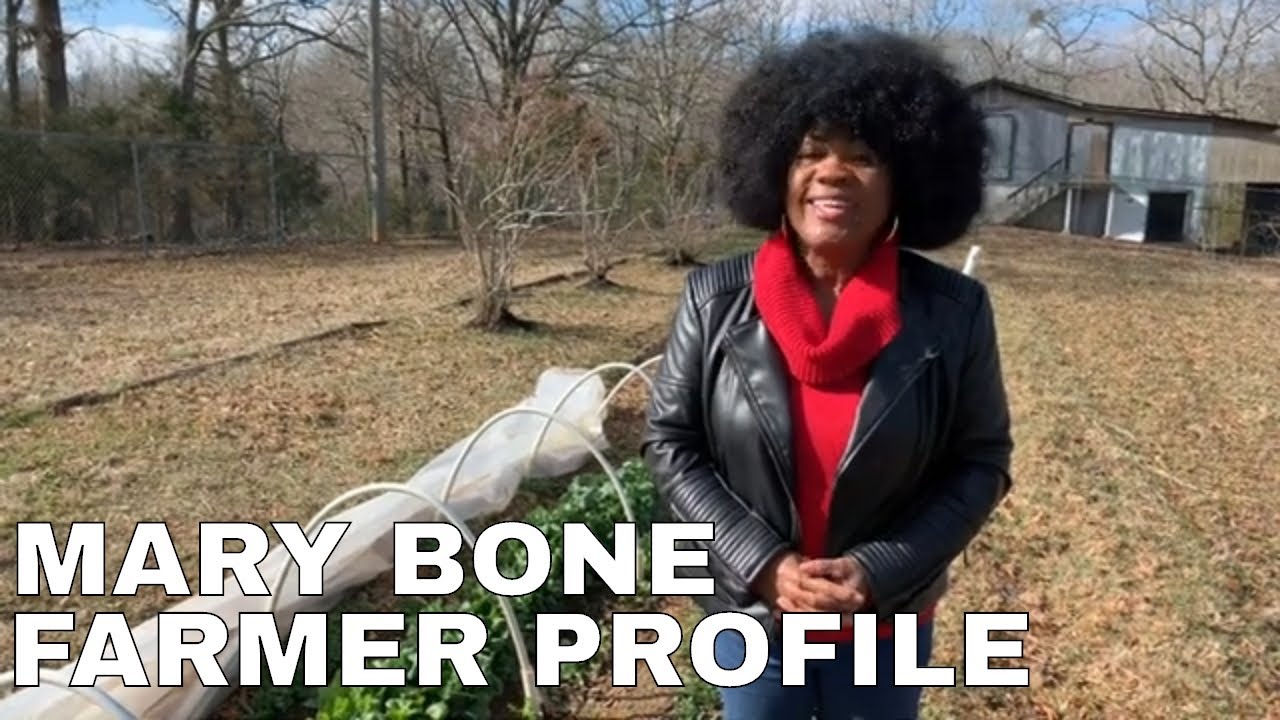 Mary Bone | Farmer Update - YouTube