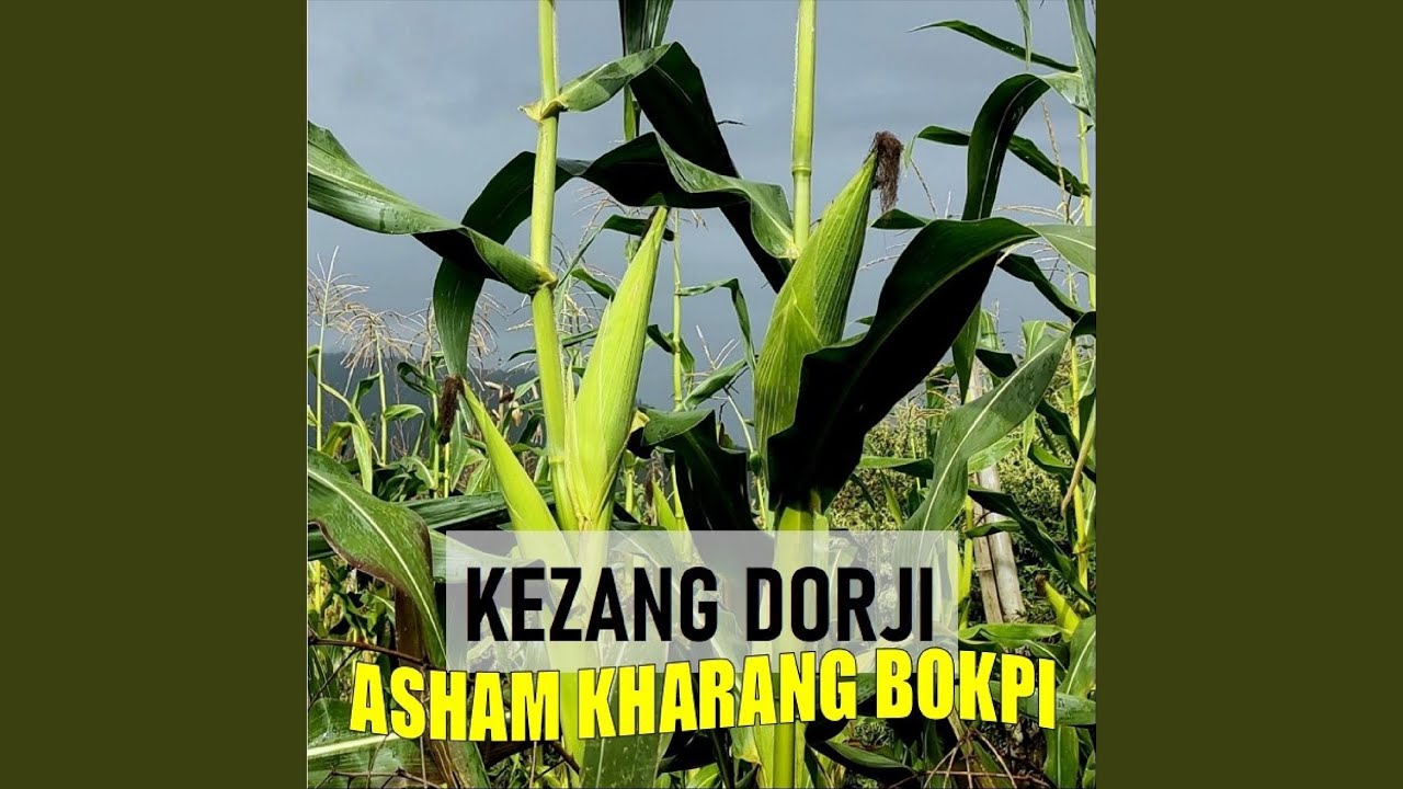 Asham Kharang Bokpi - YouTube