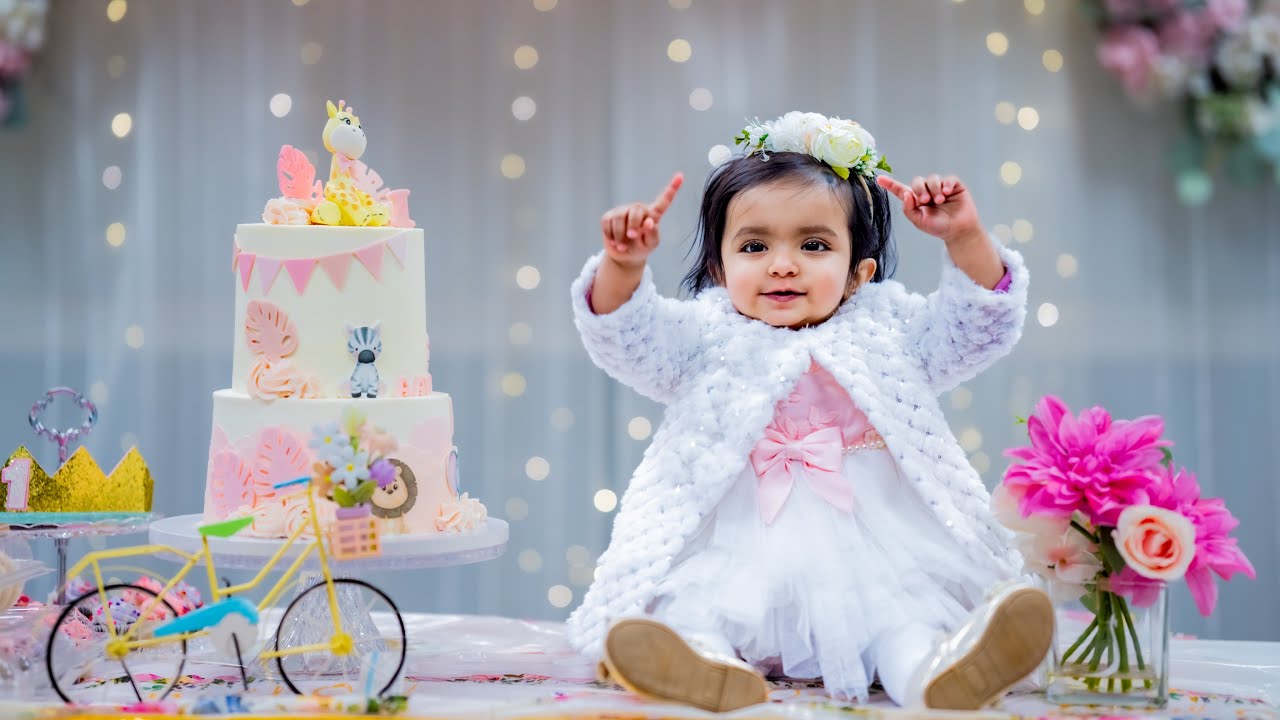 AAVYA BIRTHDAY Highlight || 1st Birthday celebrations || Michigan ...