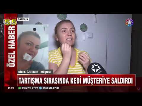 SAMSUN'DA KEDİ BİR KADINA SALDIRDI, SAHİBİ HAPİS CEZASI ALDI!