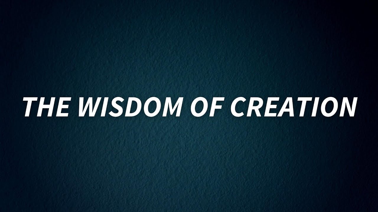 The Wisdom of Creation - YouTube