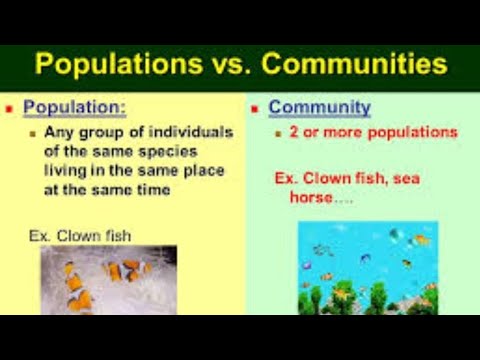 #Short Population And Community - YouTube