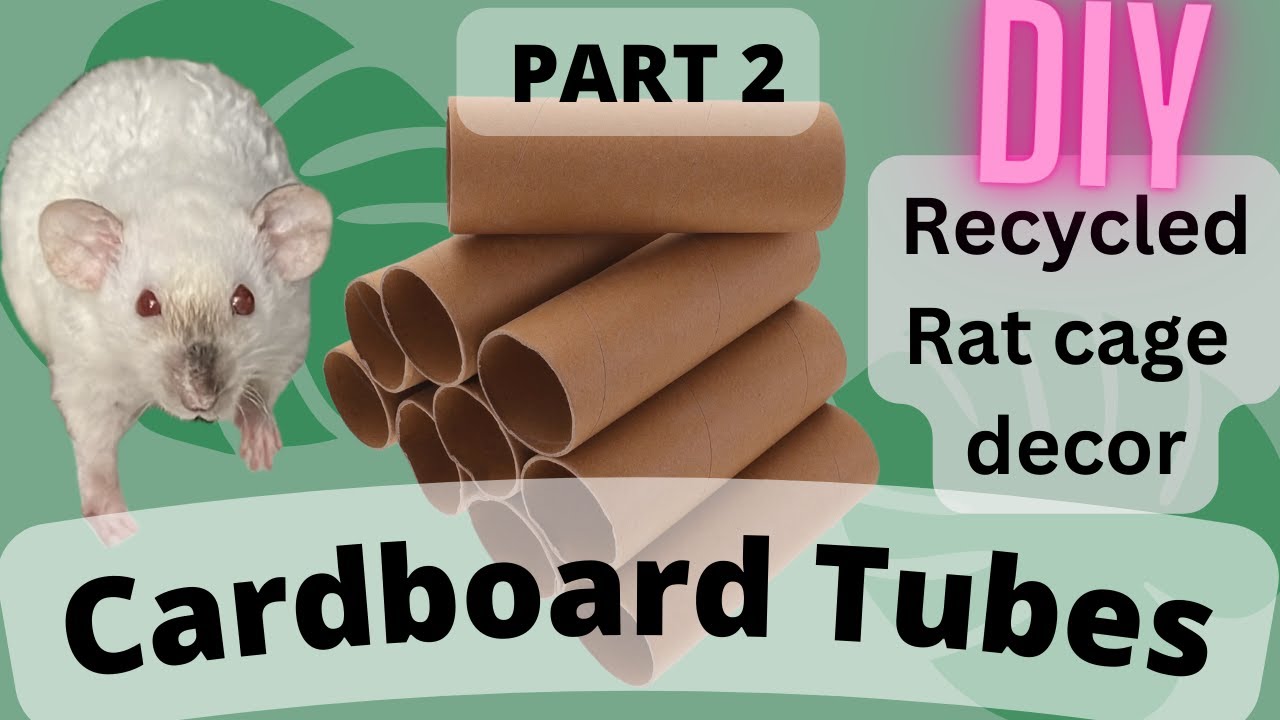 Recycled Cage Decor | Cardboard Tubes| part 2 - YouTube