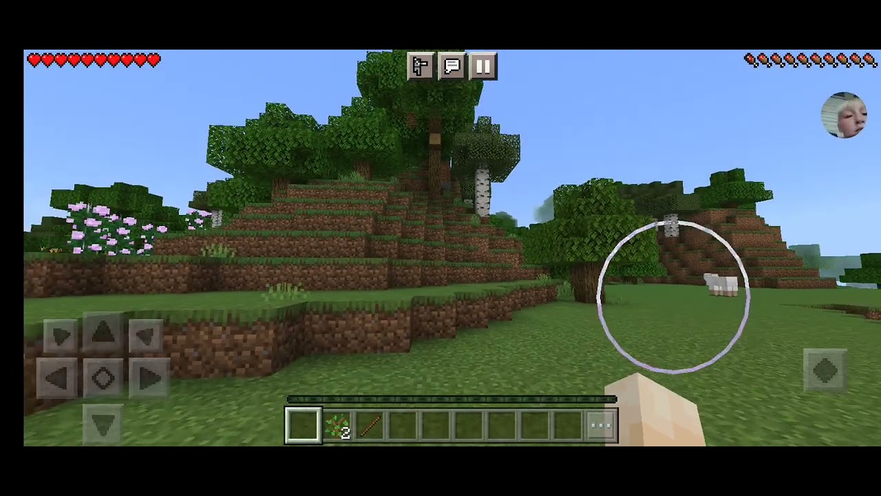 Minecraft butt video - YouTube