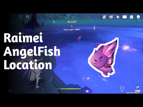 Raimei Angelfish Location - Genshin Impact - YouTube