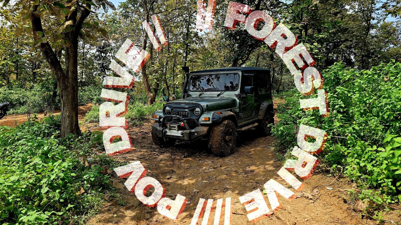 THAR OFFROAD // THAR POV DRIVE // THAR FOREST DRIVE. - YouTube