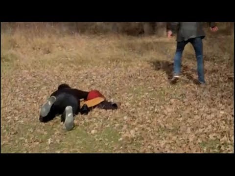 Deliler Su Axtarisinda Azeri Prikol - 2018 ( Yeni )