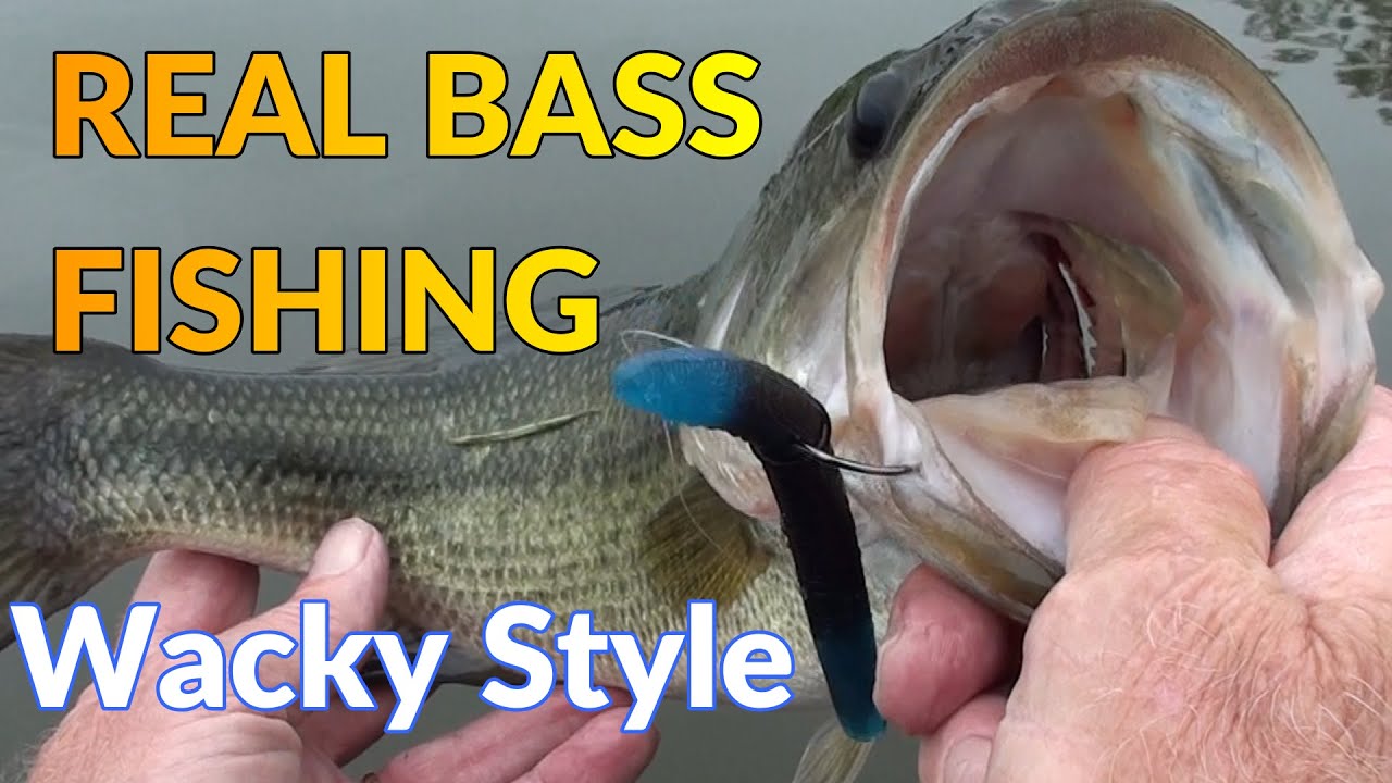 REAL Bass Fishing - Wacky Style - YouTube