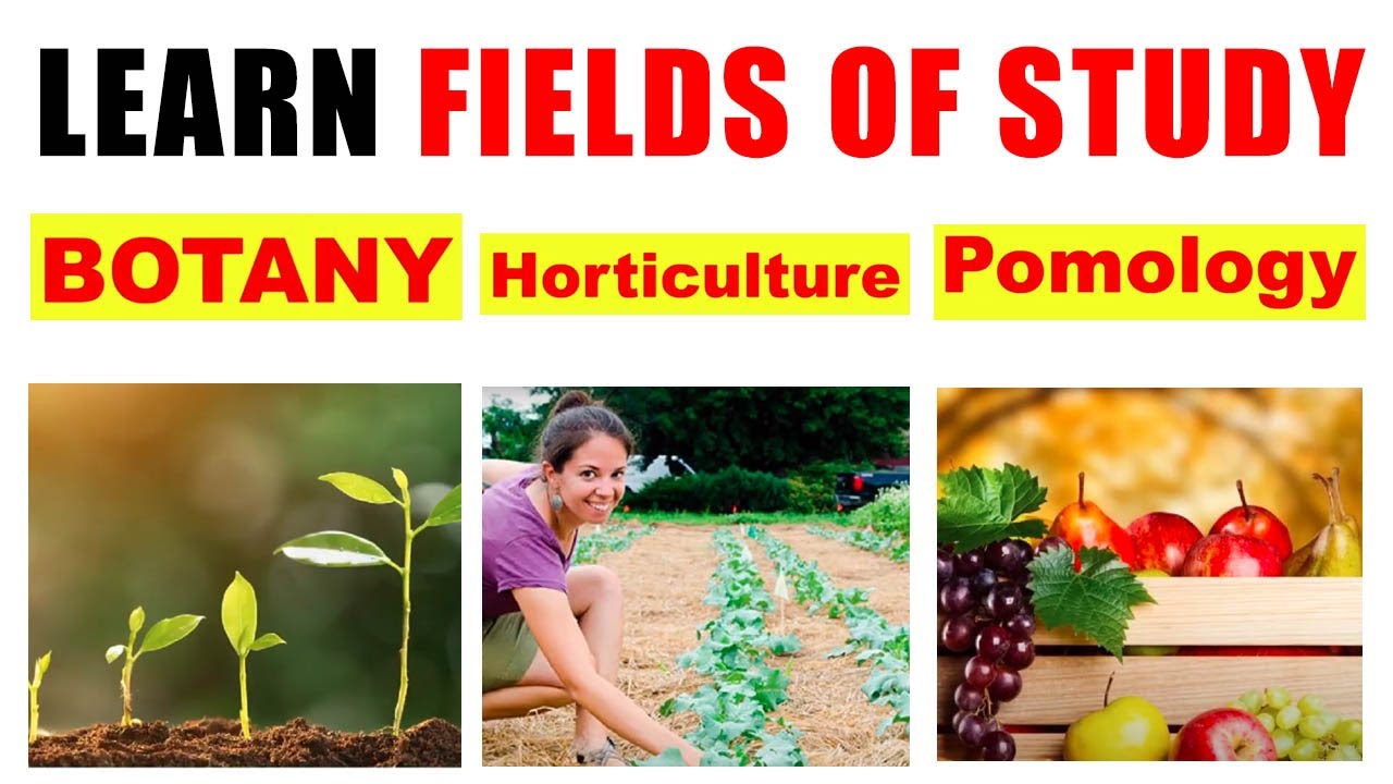 Learn Fields of Study | General Knowledge (GK) Video | Basic ...