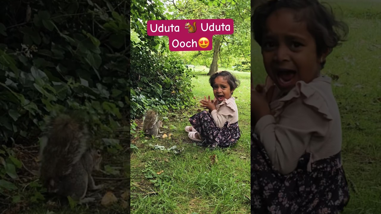 Uduta 🐿️ కి కోపం రావడం చూసారా? #youtubeshorts #ytshorts #viral # ...