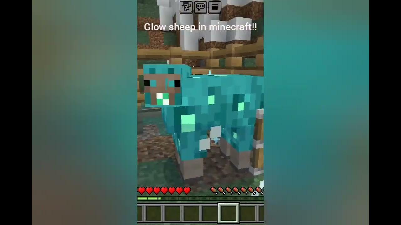 glow sheep in minecraft - YouTube
