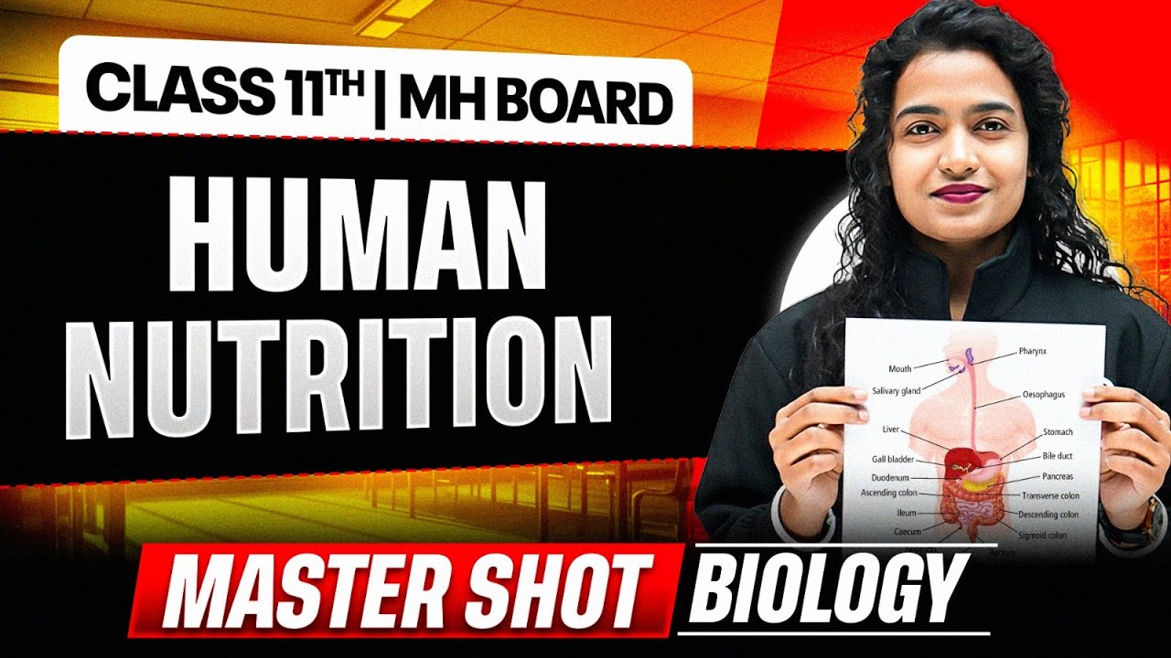 Human Nutrition in One Shot Class 11 | Biology | Maharashtra Board 🔥 ...
