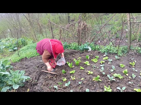 ACI SOĞANIN BİLE HATRI VAR