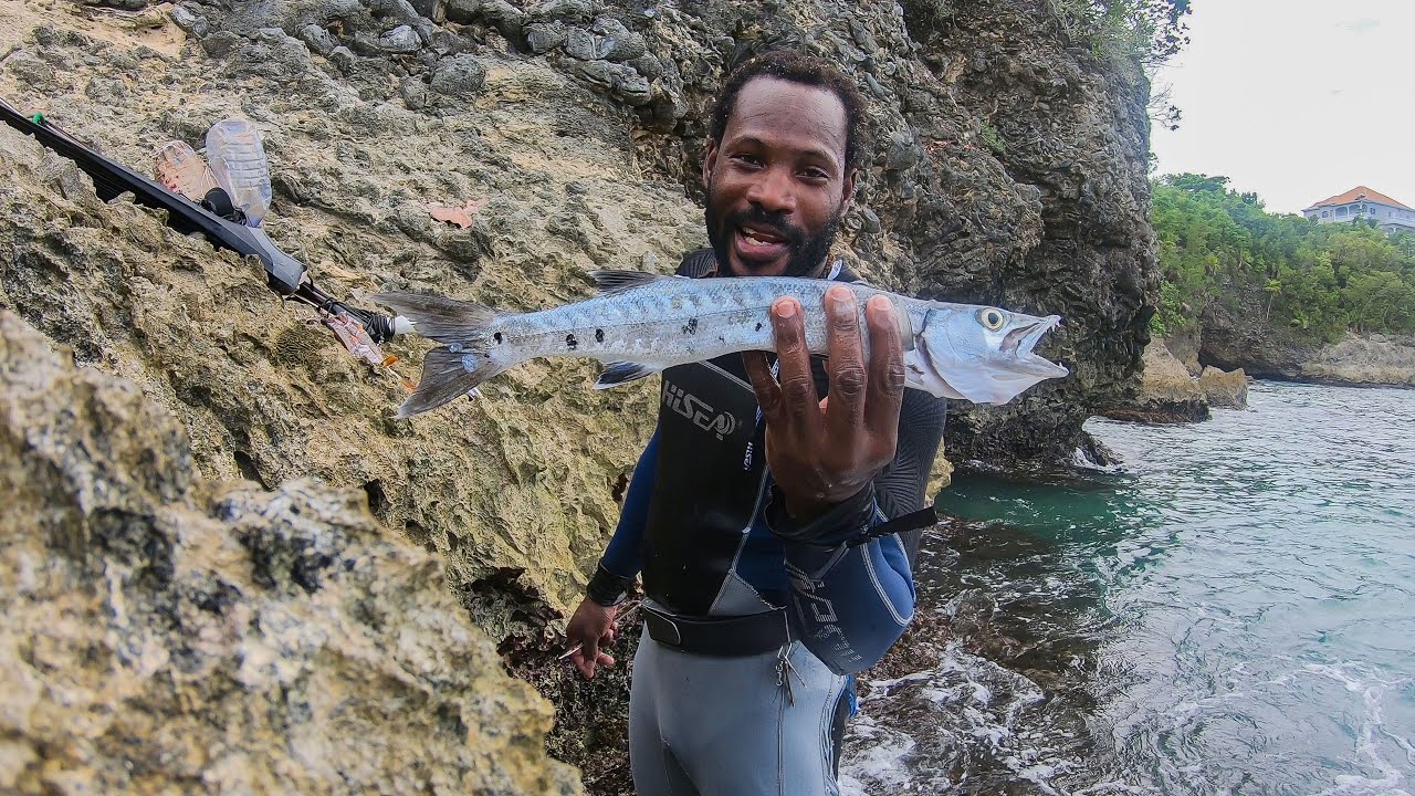Shrink Barracudas | Solo Spearfishing | Catch Clean ,N' Cook - YouTube