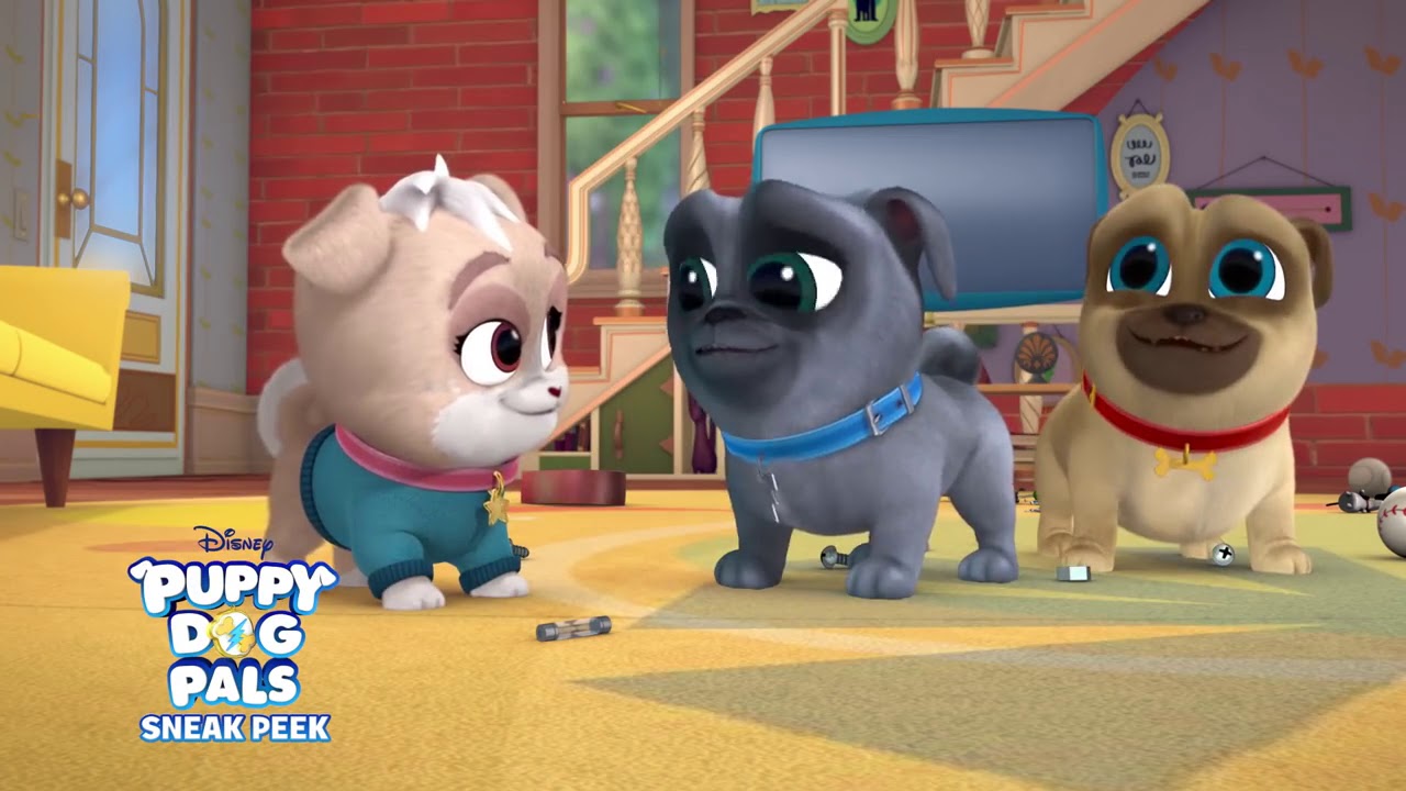 Arf Choo! 🐾¦ Puppy Dog Pals ¦ Disney Junior - YouTube