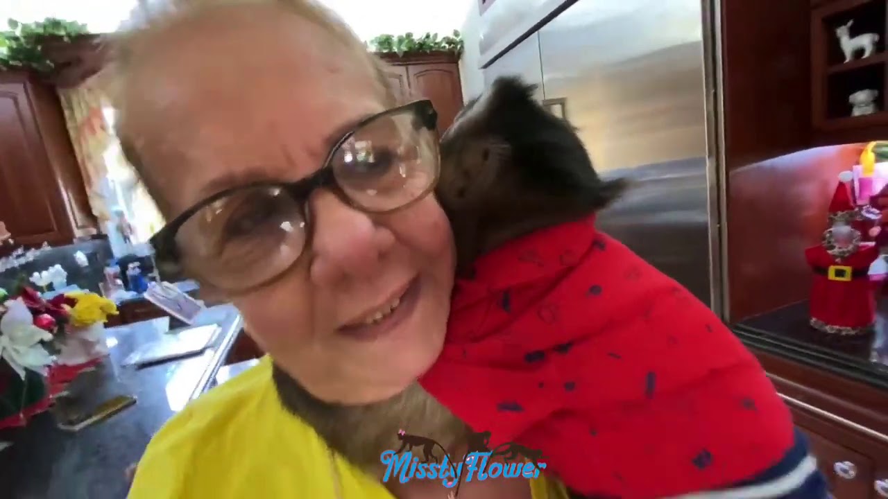 Monkey Russel loves his grandma 👵 - YouTube