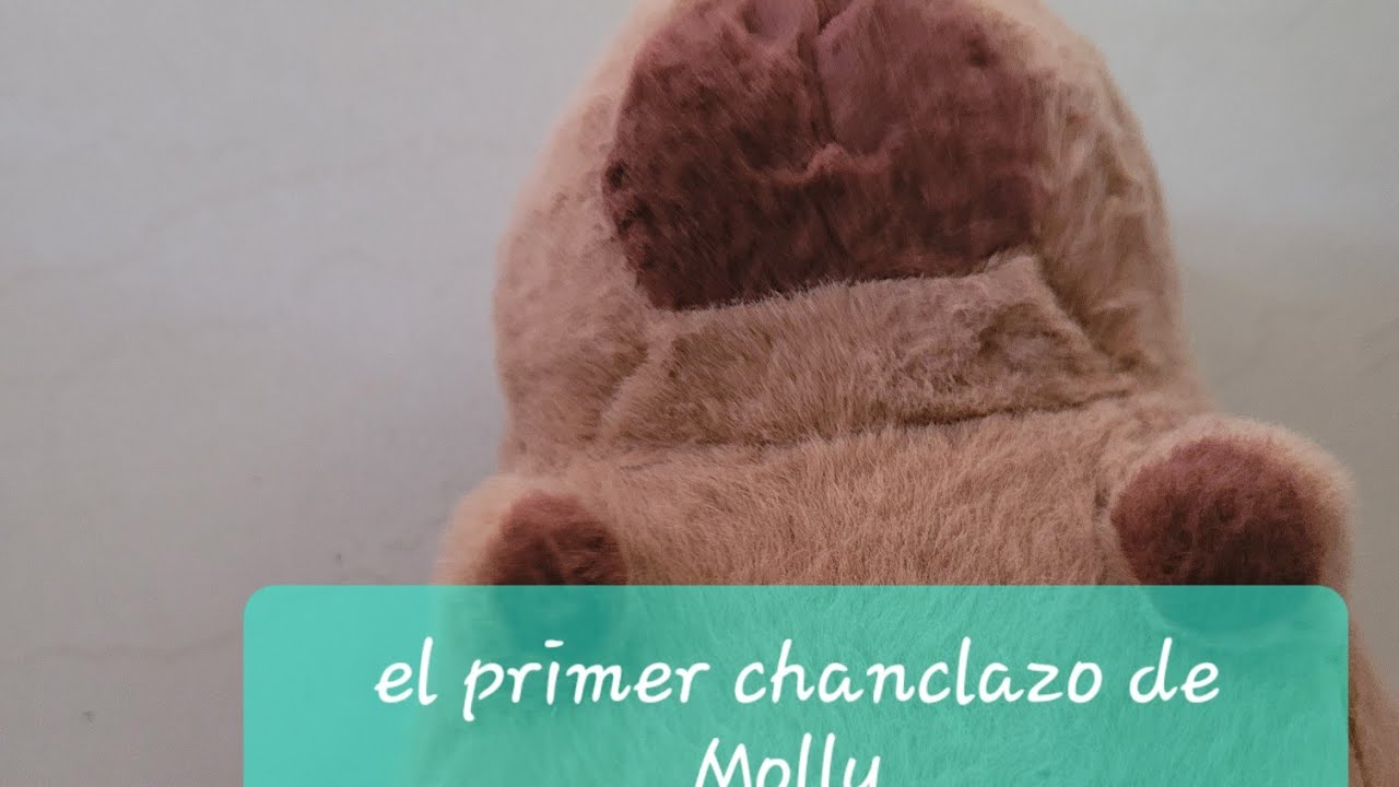 El primer chanclazo de Molly🩴😅 - YouTube